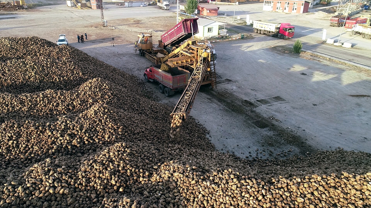 Sukkar Şeker 300 Milyon TL Sukuk İhracı Gerçekleştirdi - Hürses